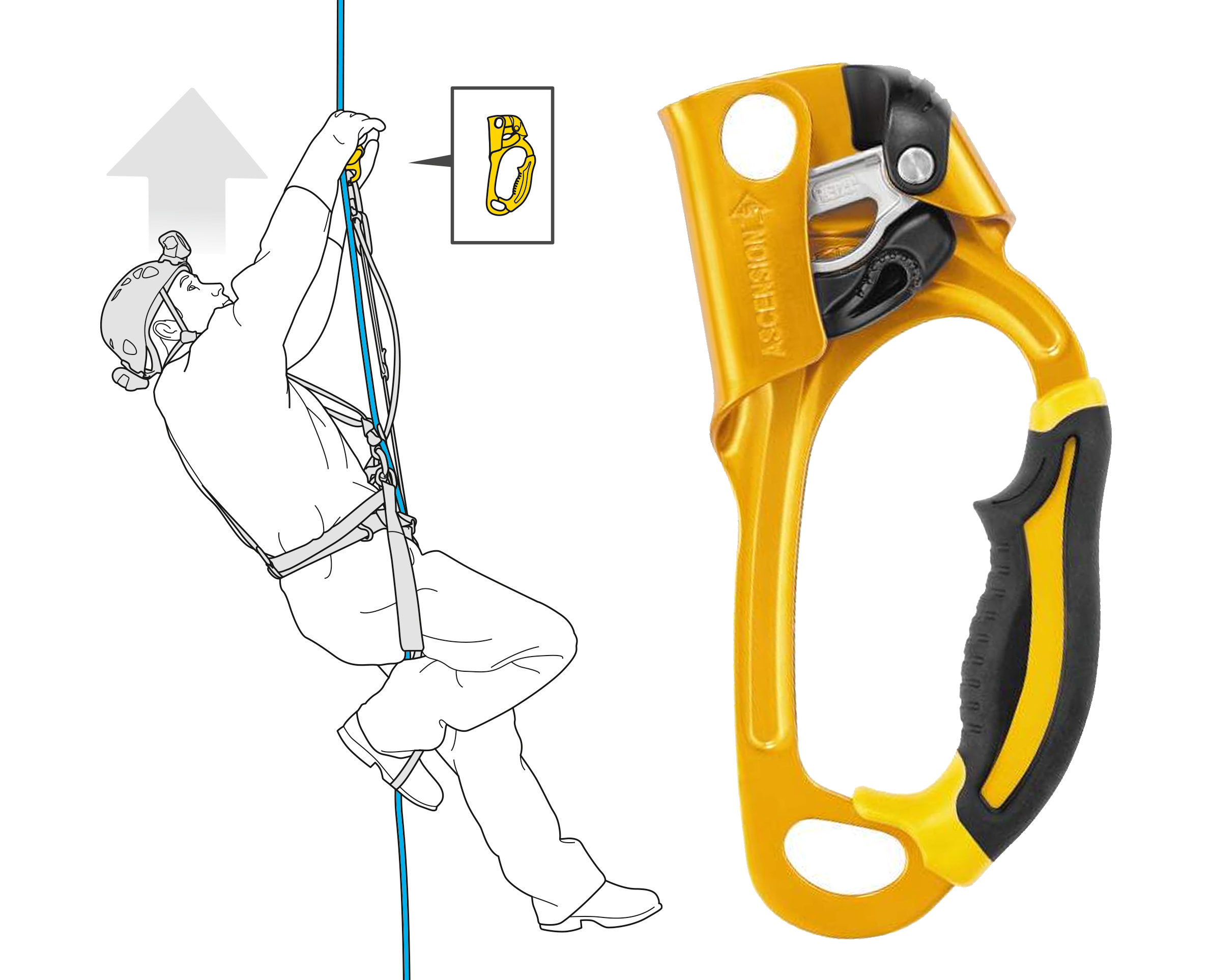 Top 3 Most Owned and Most Wanted Hand Ascenders - WeighMyRack