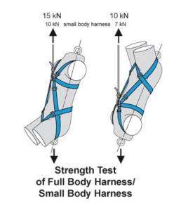 What Are Full Body Harnesses? - WeighMyRack
